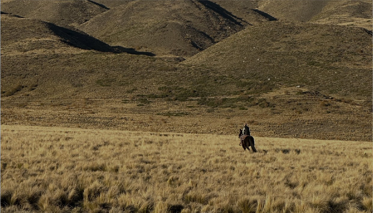 Reservá Ahora | Lo que nos distingue es nuestro compromiso.